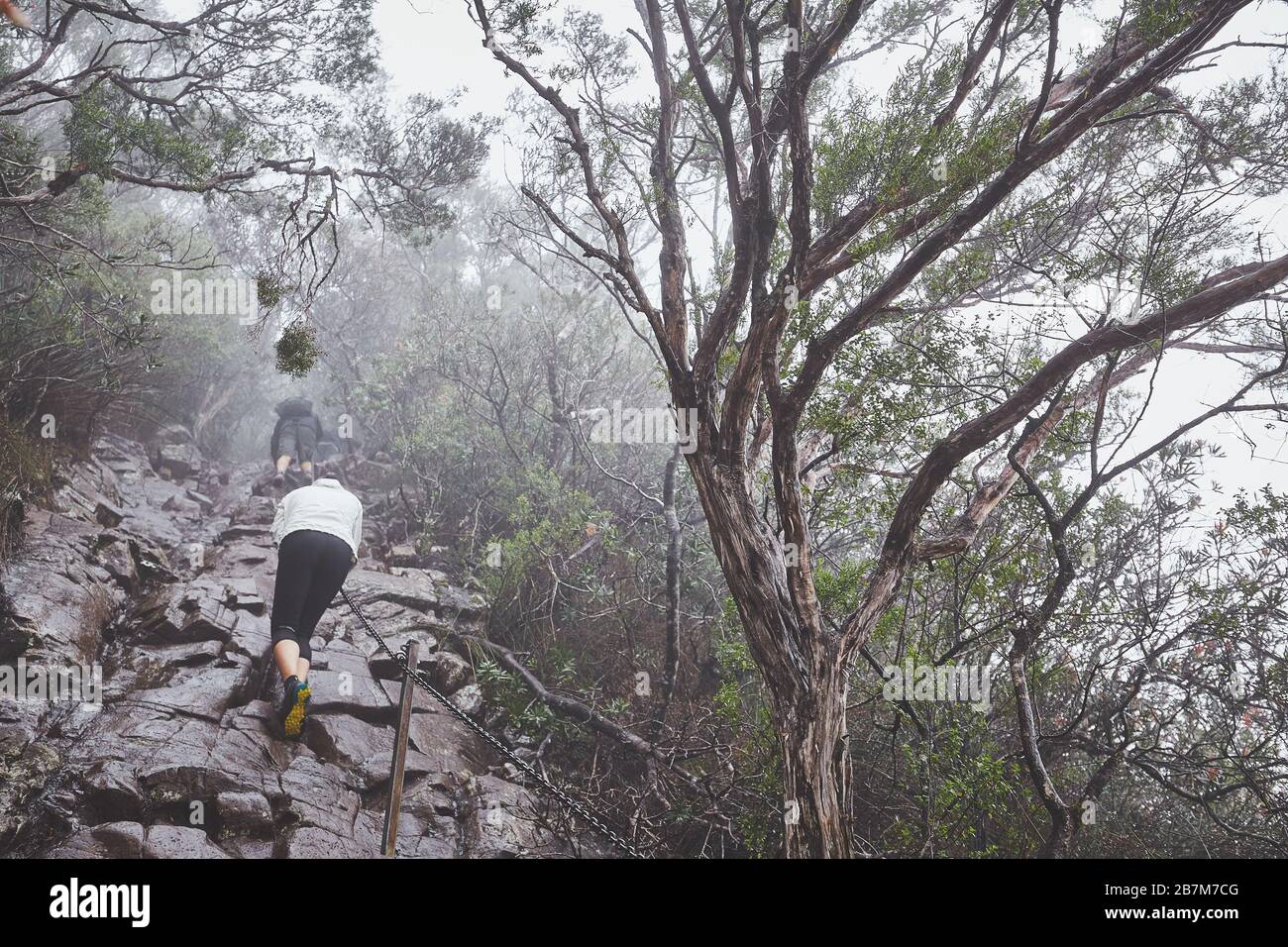 Mount warning hi-res stock photography and images - Alamy