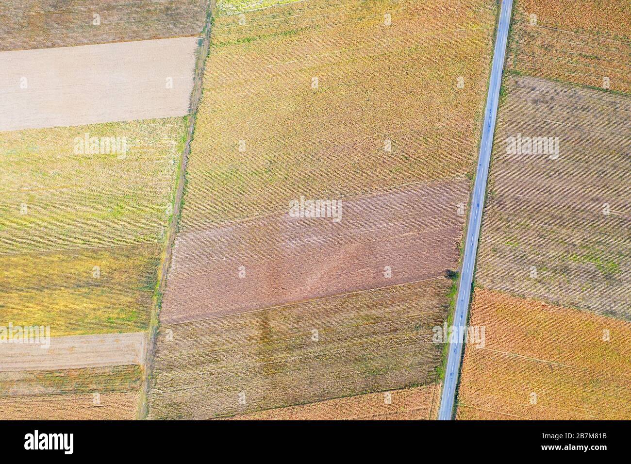 Farm land aerial view from above near country road, drone view ...