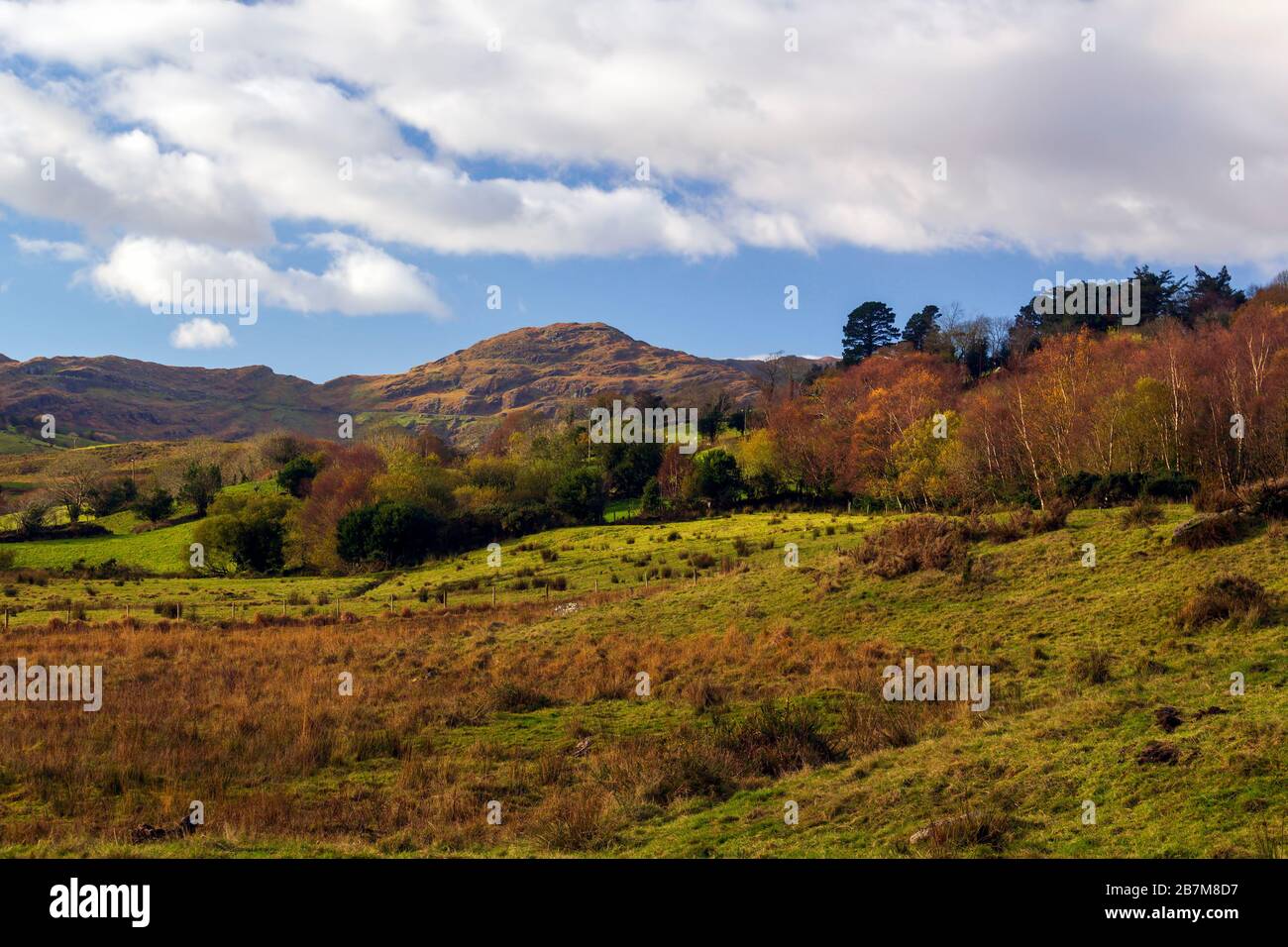 Rural irish countryside hi-res stock photography and images - Alamy