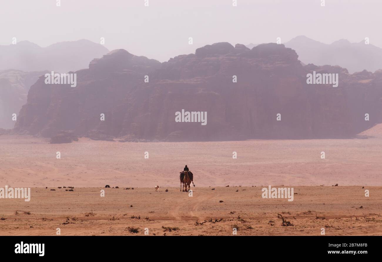 Wadi crossing hi-res stock photography and images - Alamy