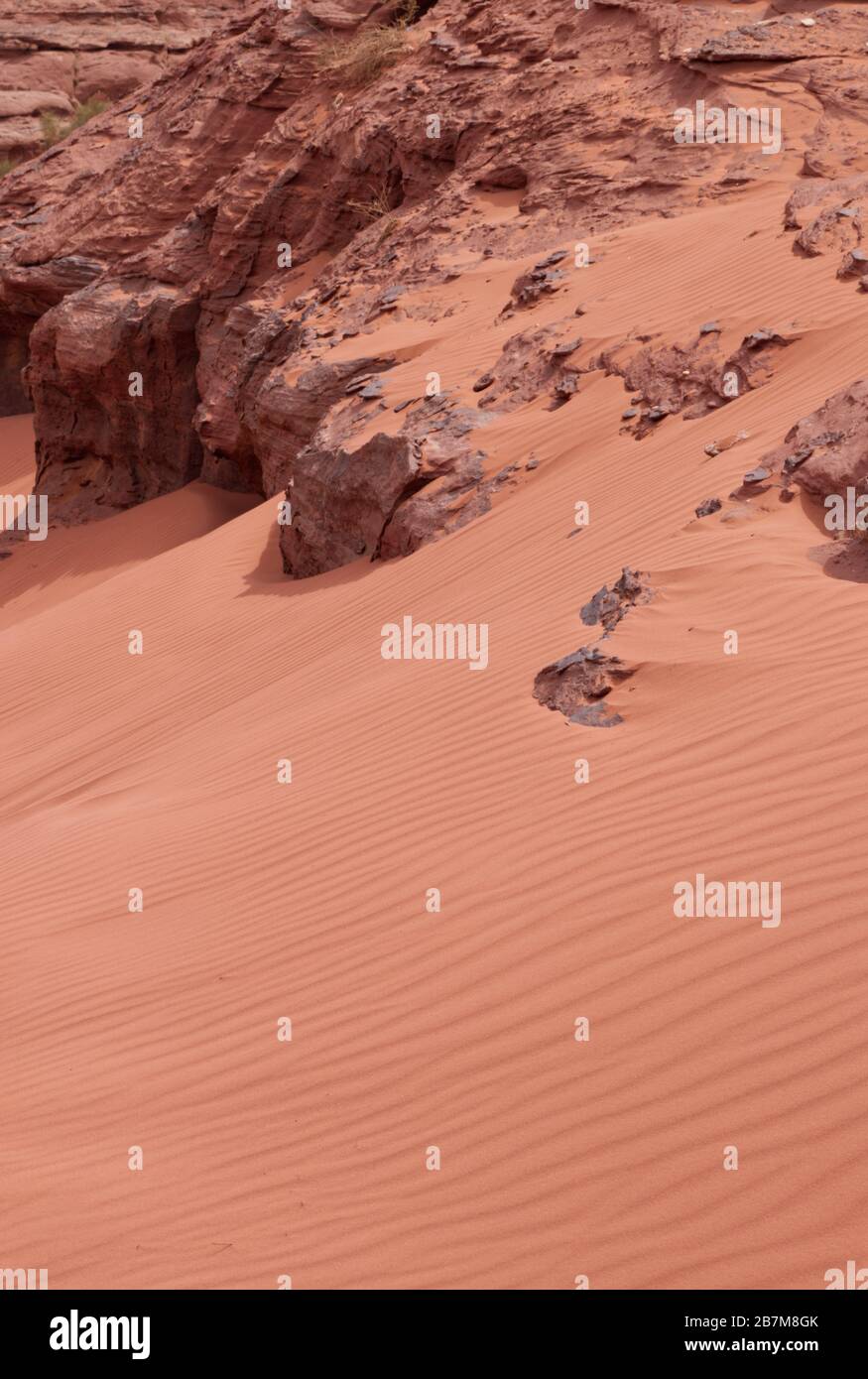 Portrait photograph of a red sand dune in Wadi Rum in Jordan Stock ...