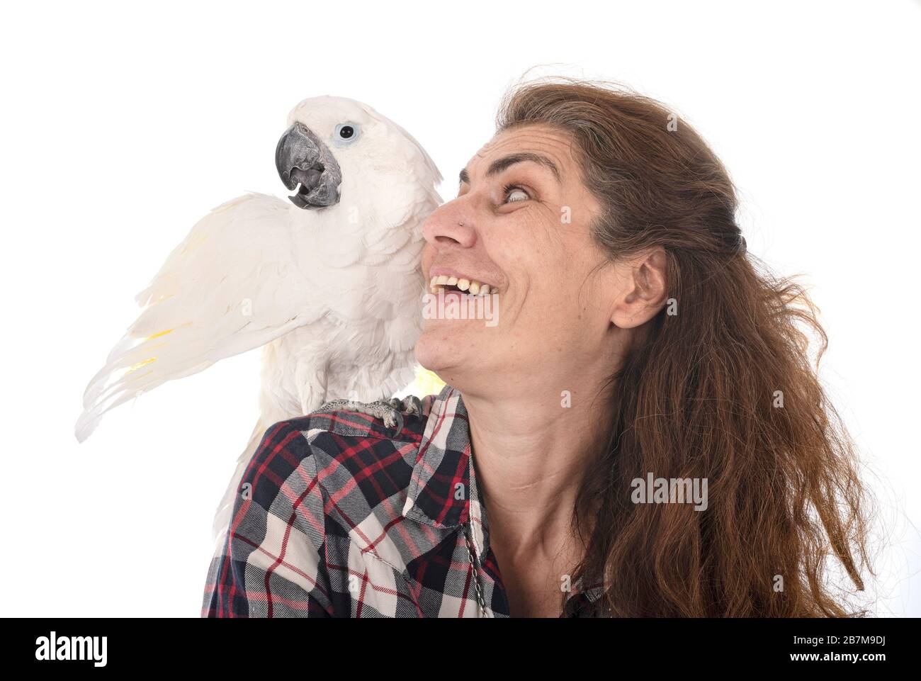 cockatoo and woman in front of white background Stock Photo - Alamy