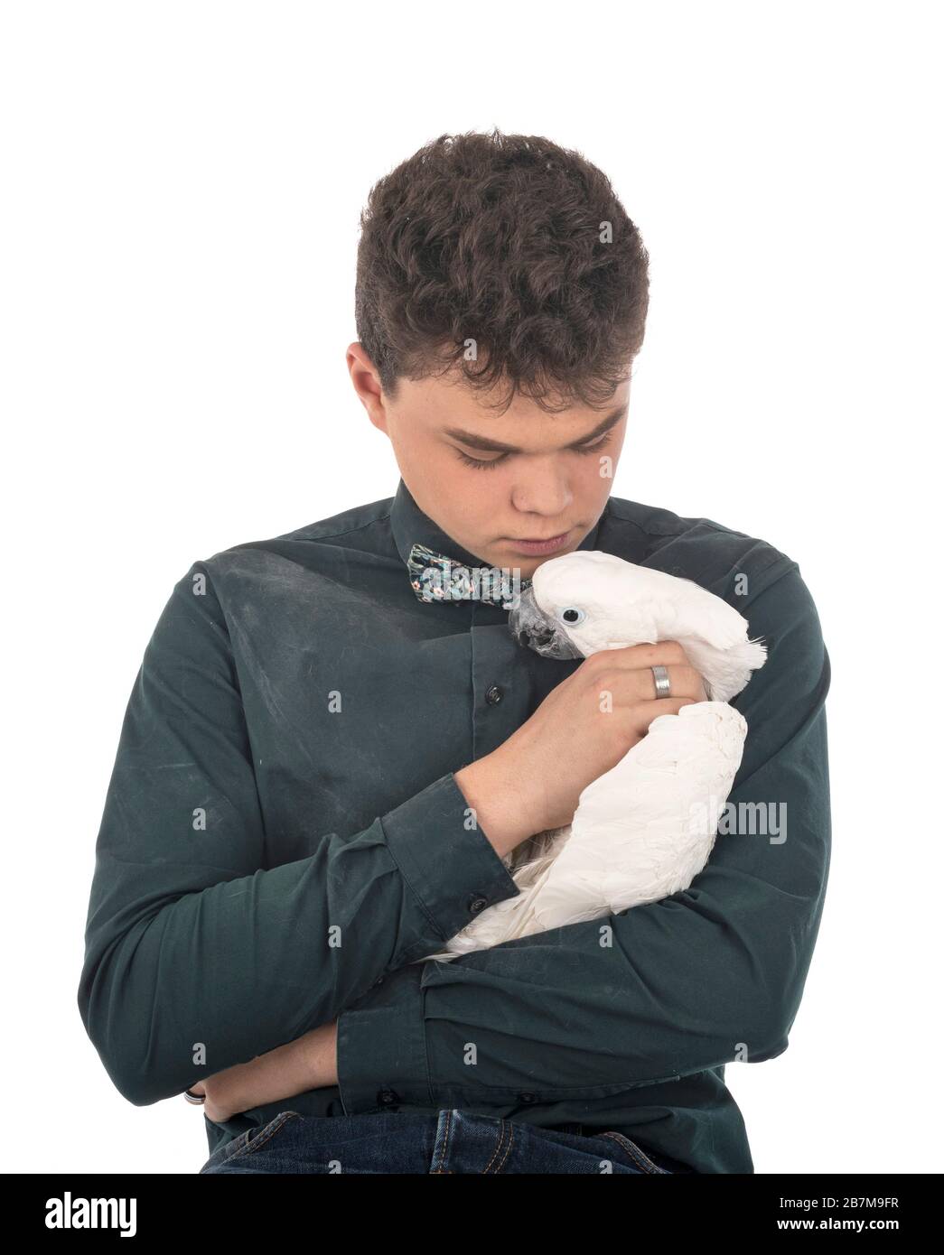cockatoo and teen in front of white background Stock Photo - Alamy