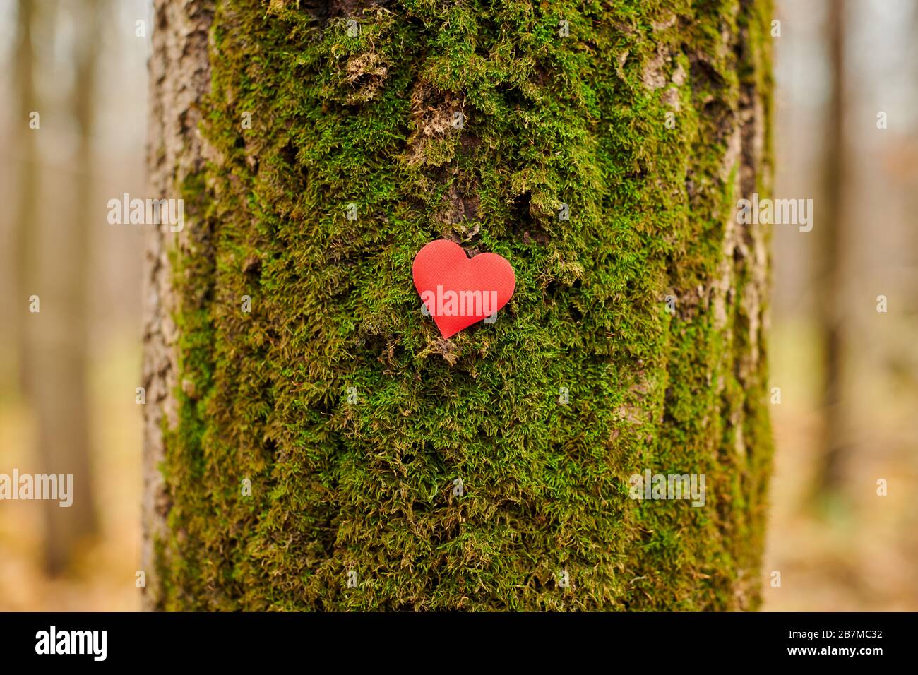 Heart on tree. Save forest and nature. Environment protection symbol ...