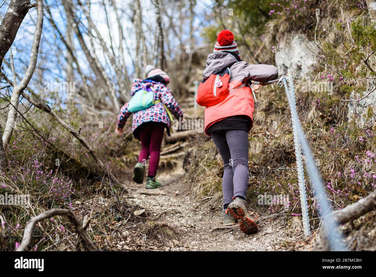 Children hiking in the mountains or woods on family trip. Active family ...