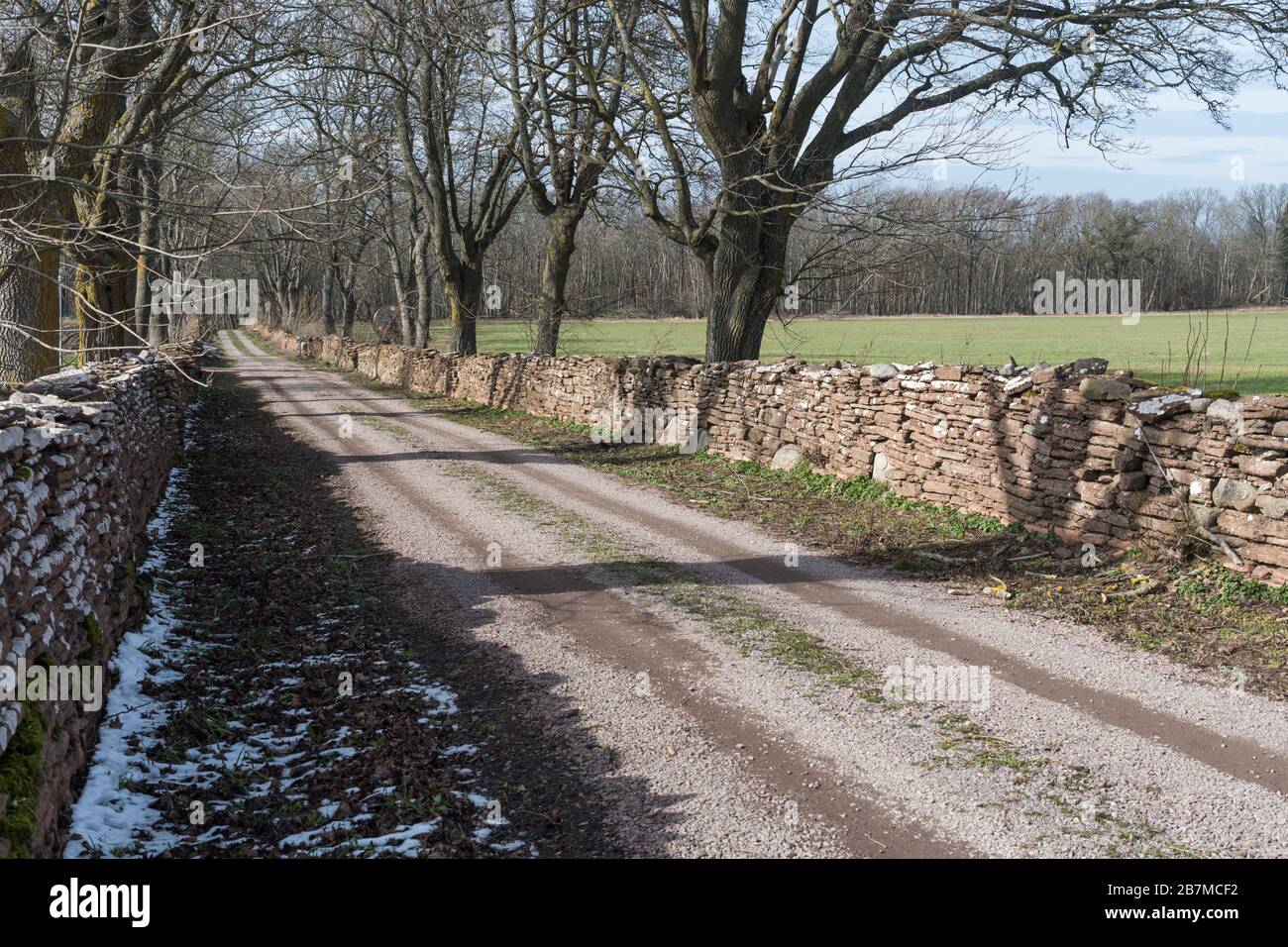 Dirt road with dry stone wall hi-res stock photography and images - Alamy