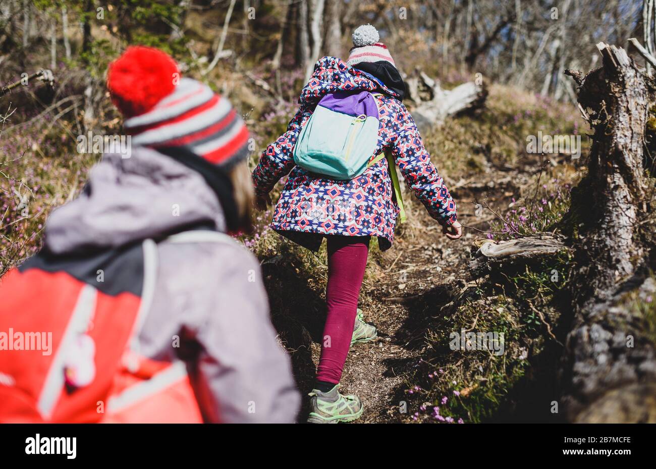 Children hiking in the mountains or woods on family trip. Active family ...