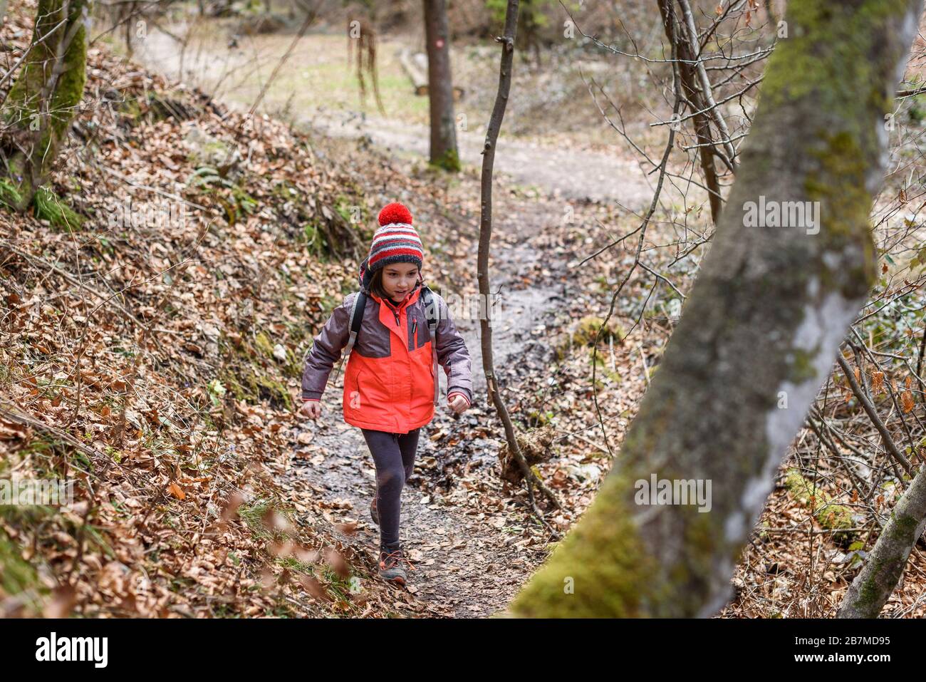 Children hiking in the mountains or woods on family trip. Active family ...