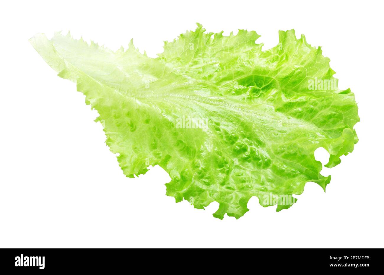 green lettuce leaf isolated on white background Stock Photo - Alamy