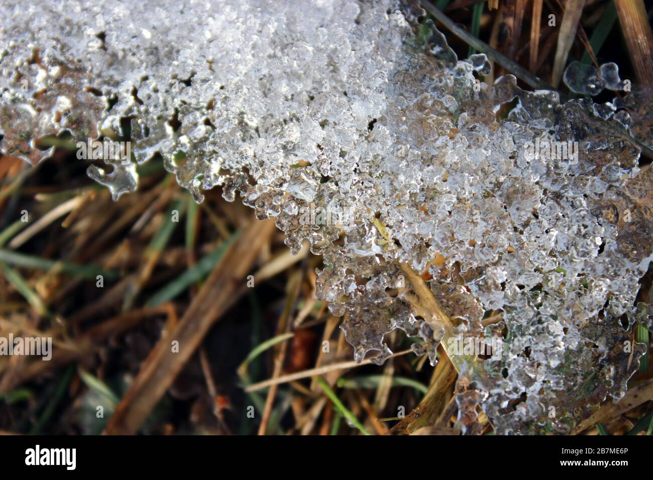 Macro photo of melting snow Stock Photo - Alamy