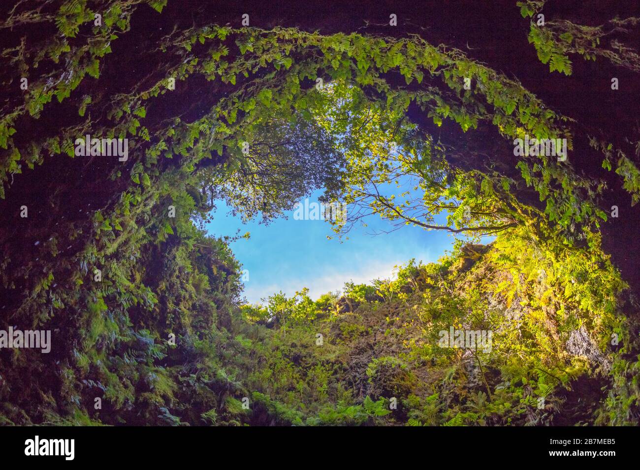 Cave in an extinct volcano on the island of Terceira Gruta do Algar do ...