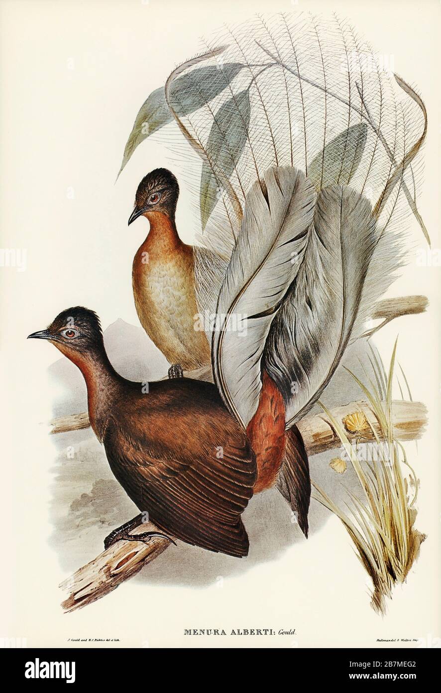 John alberti hi-res stock photography and images - Alamy