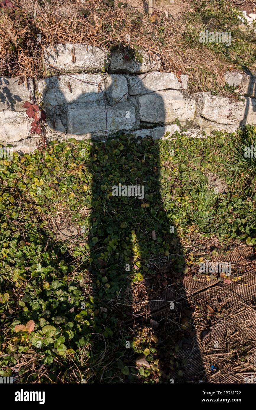 Lucky Luke Shadow