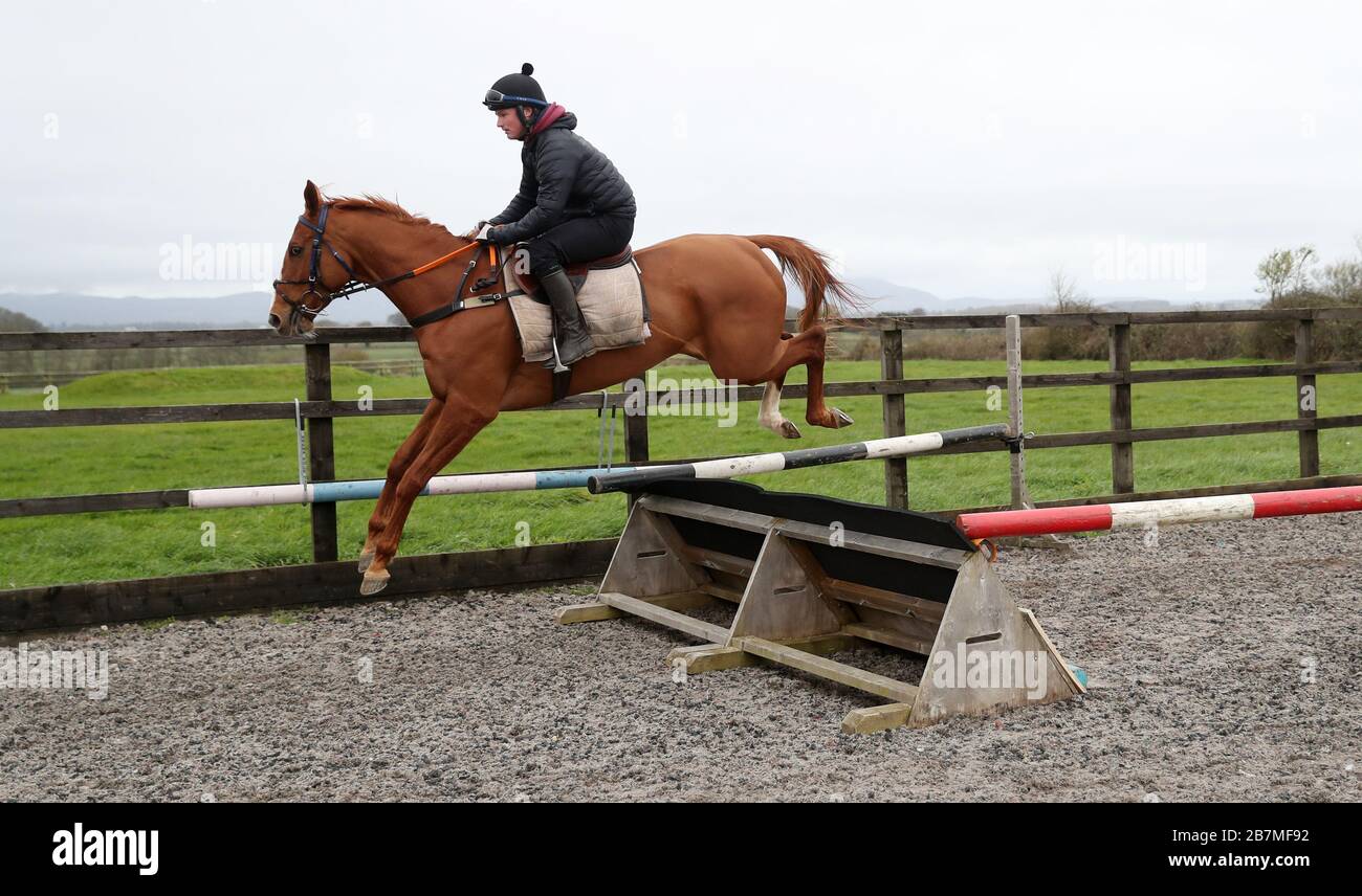 Hello Bob has light exercise during the visit to Samuel Drinkwater's ...