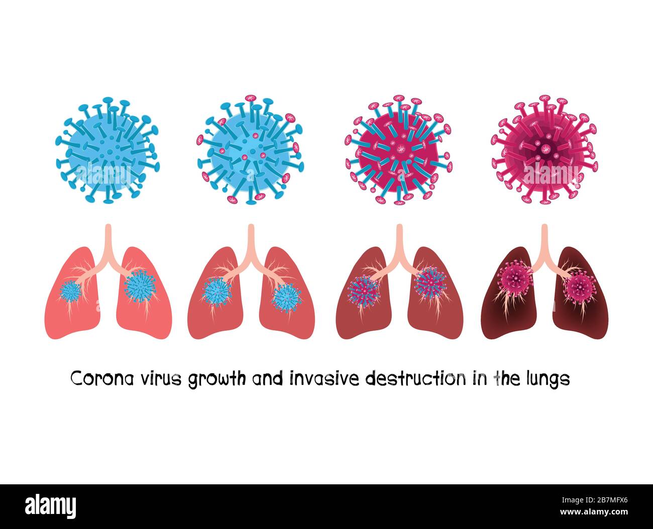 Development and evolution of Corona virus (2019-nCoV), microbiology ...