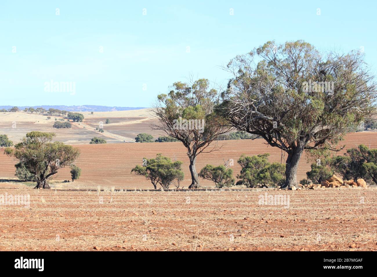The Wheatbelt Western Australia Stock Photo - Alamy