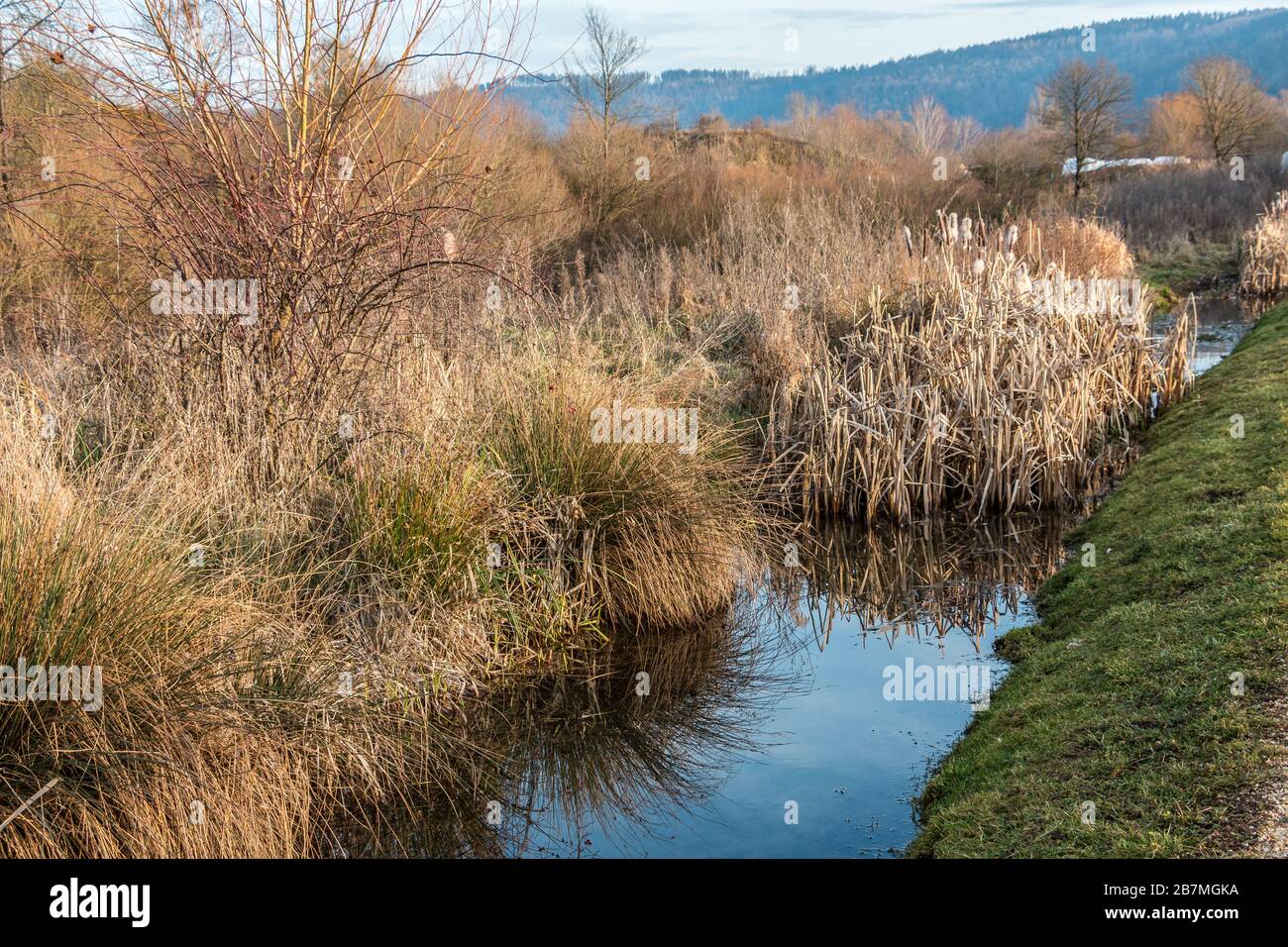 Brackish water hi-res stock photography and images - Alamy