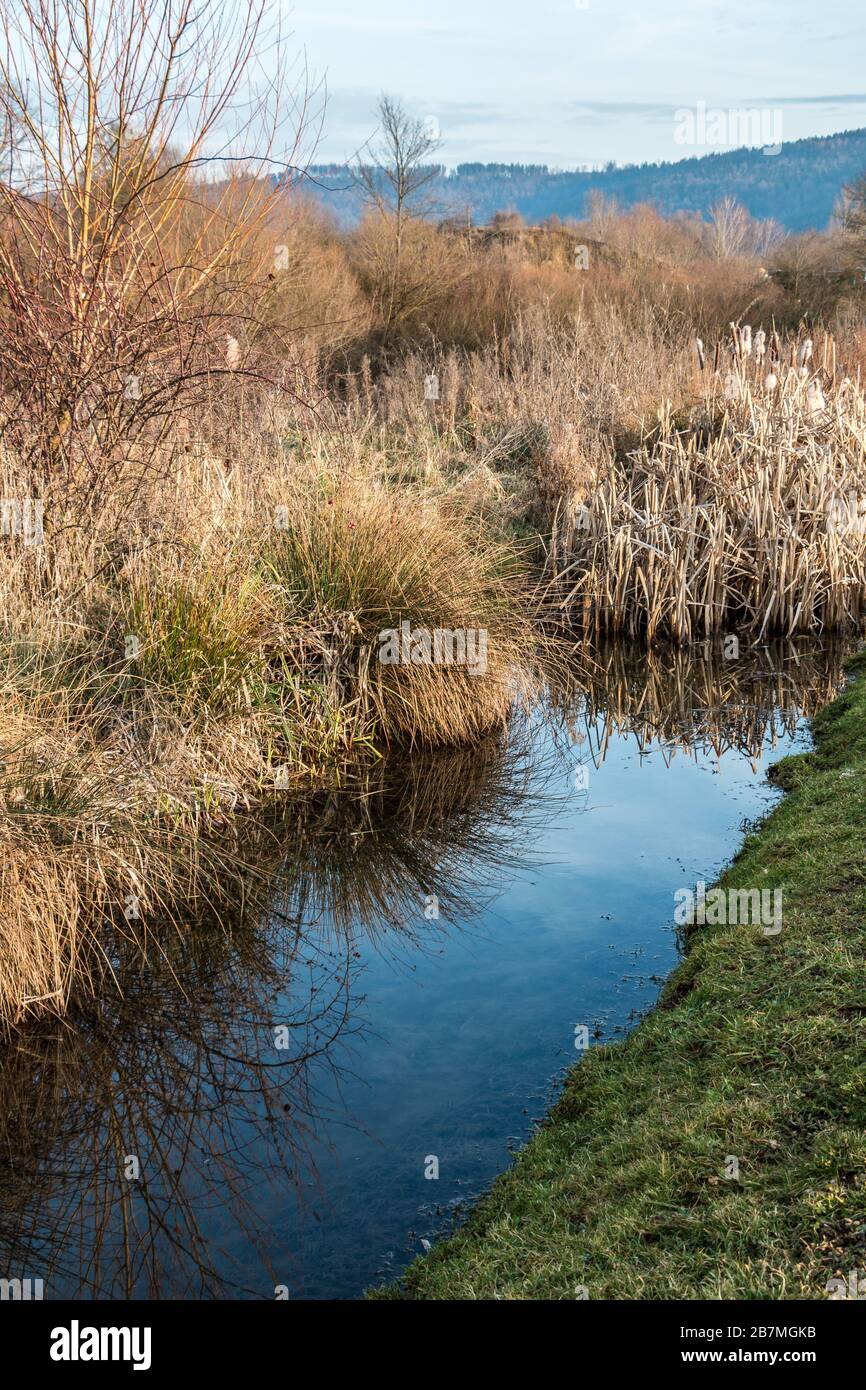 Brackish water hi-res stock photography and images - Alamy