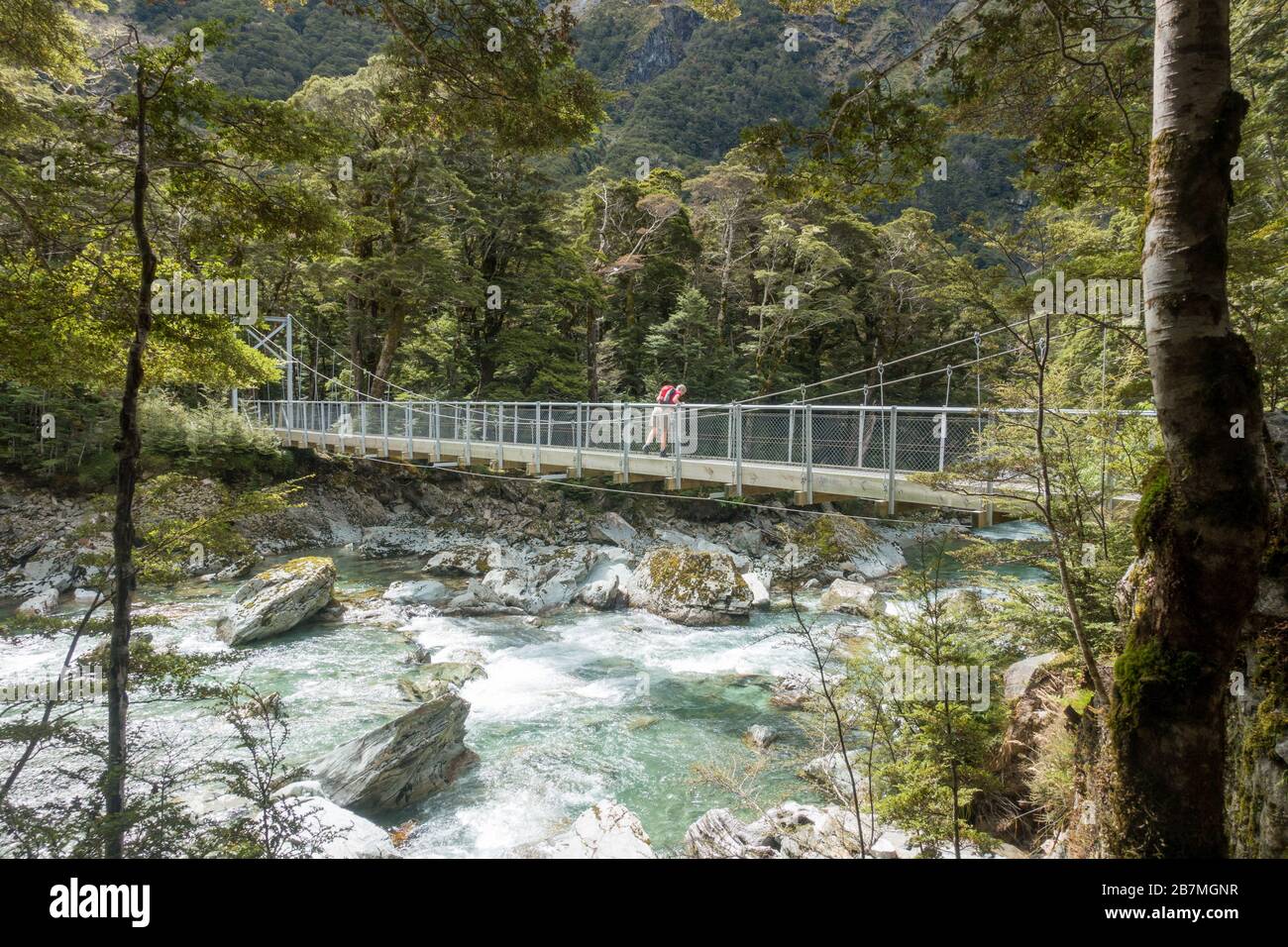 The Routeburn Track is is a classic tramping track in New Zealands ...