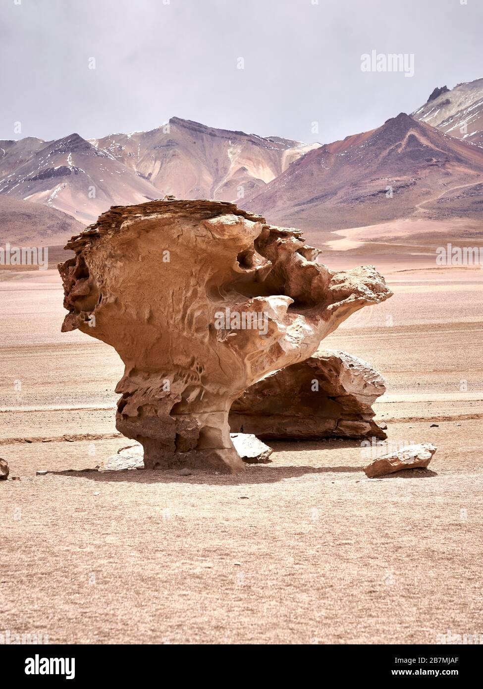 Altiplano Andean Plateau Bolivia Stock Photo - Alamy