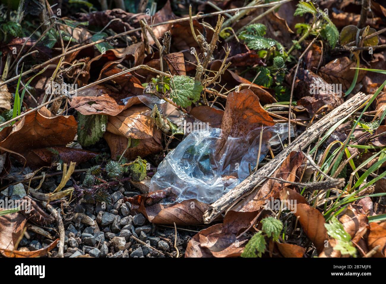 Plastic waste thrown away in the middle of nature Stock Photo - Alamy