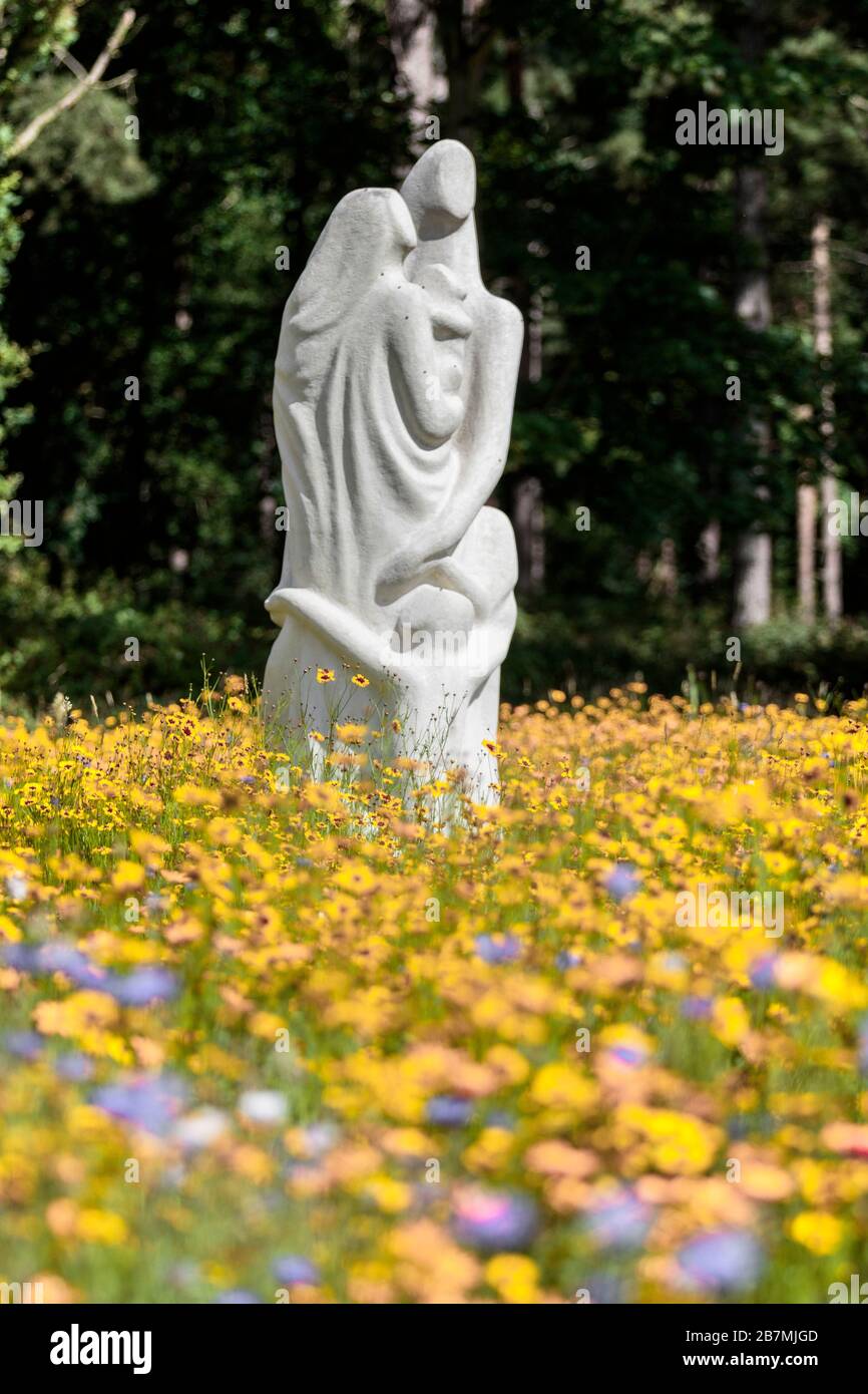 Marks hall estate and arboretum hi-res stock photography and images - Alamy