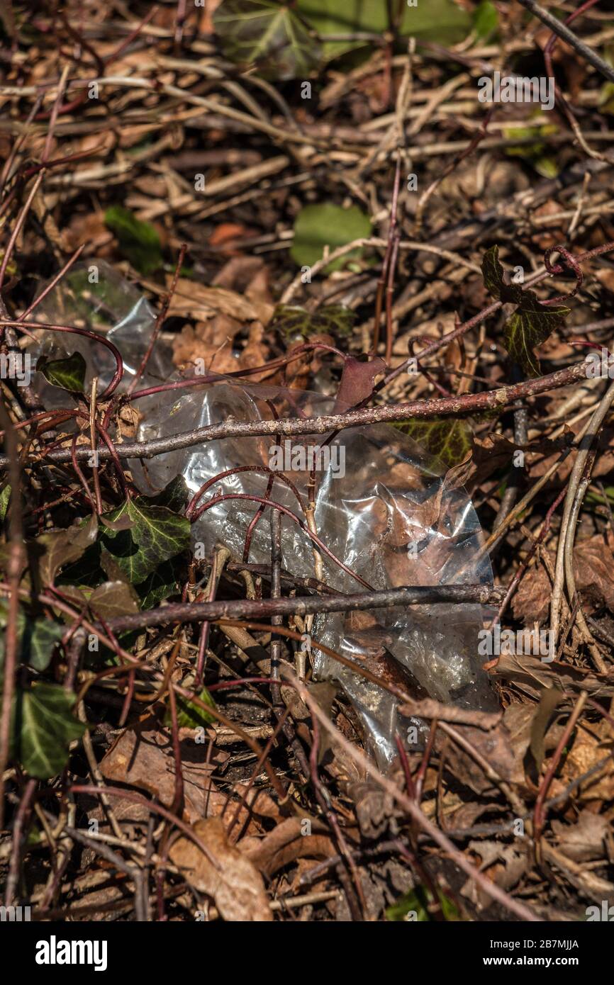 Plastic waste thrown away in the middle of nature Stock Photo - Alamy