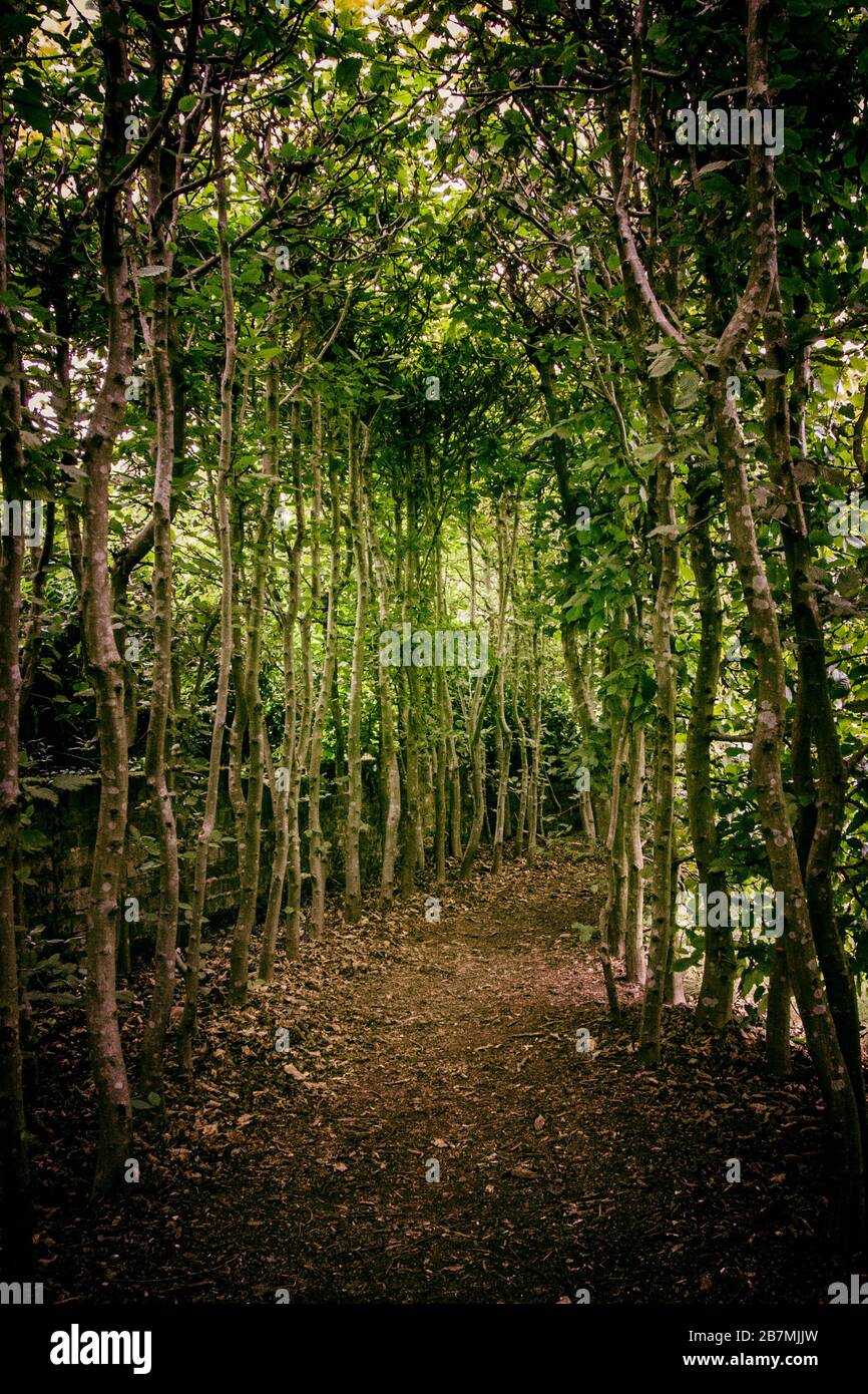 marks hall sculpture colchester essex england uk Stock Photo - Alamy