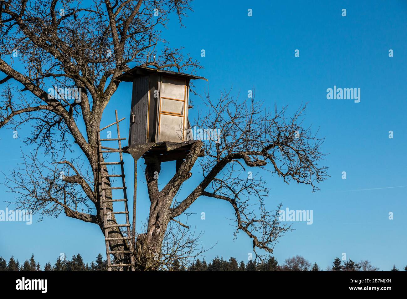 Shaky raised hide up on top of a high tree Stock Photo - Alamy