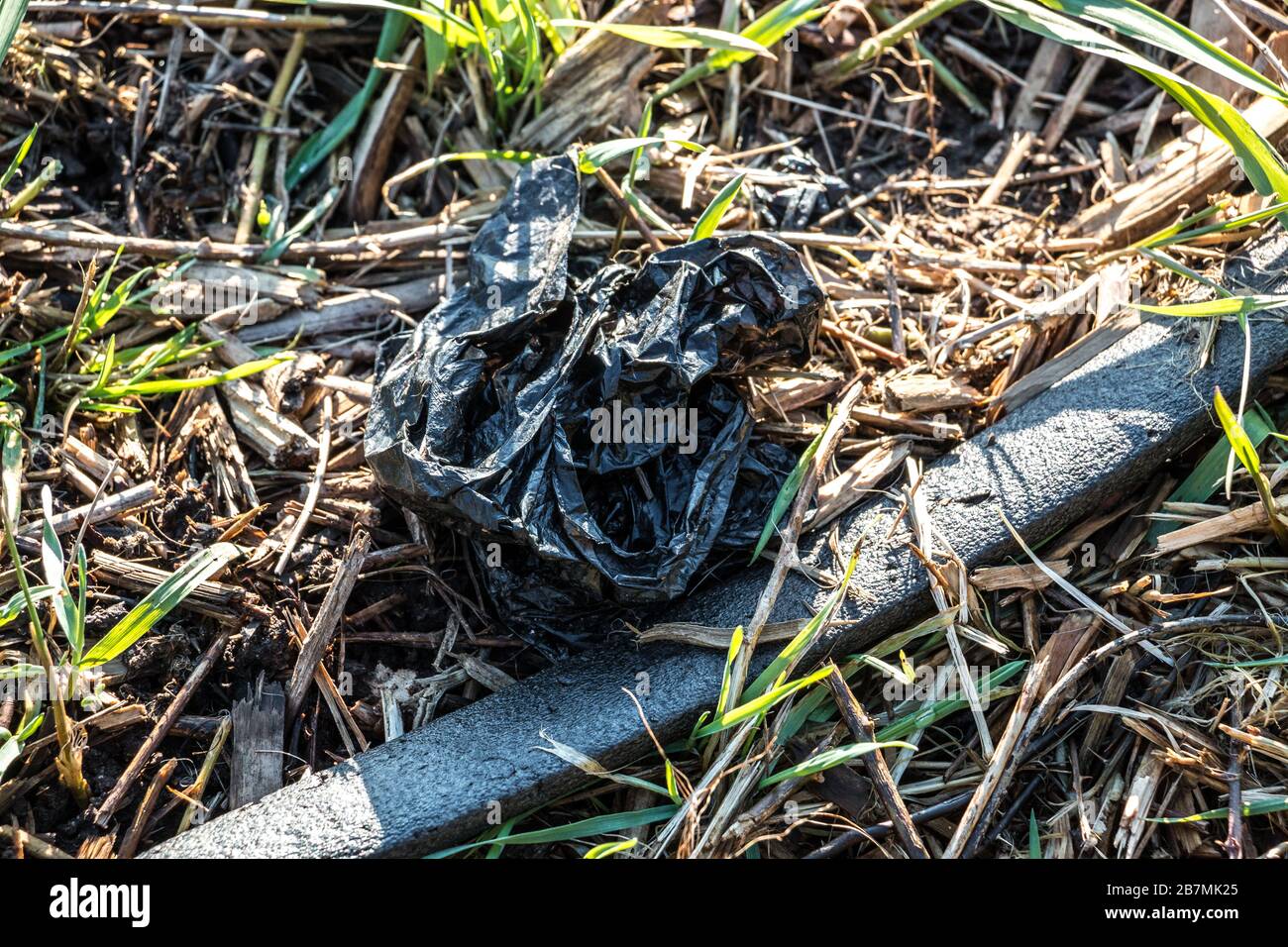 Plastic waste thrown away in the middle of nature Stock Photo - Alamy
