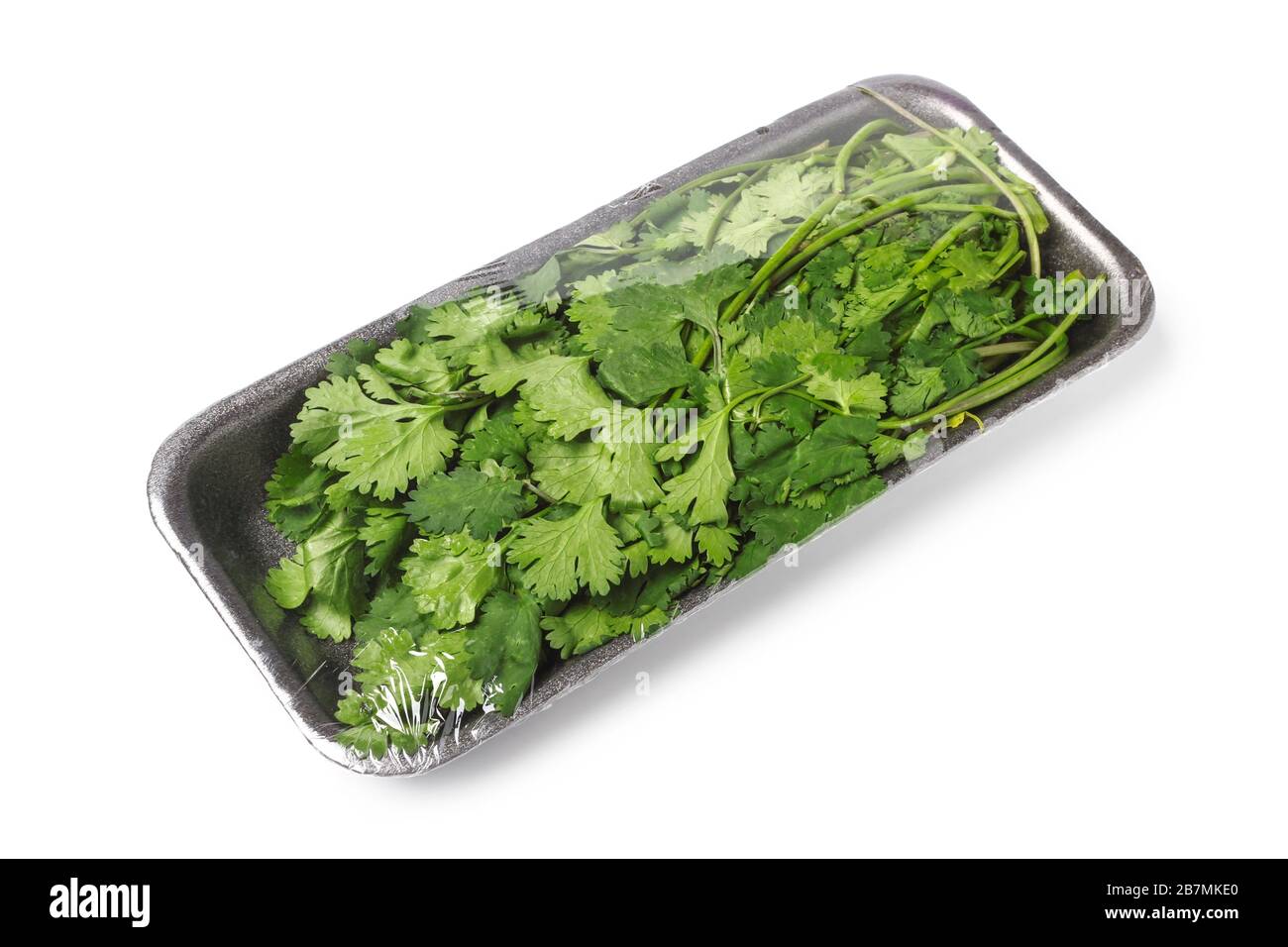 A bunch of cilantro in food tray from a supermarket isolated on white ...