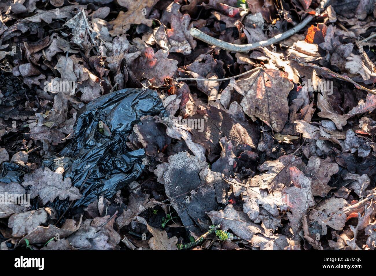 Plastic waste thrown away in the middle of nature Stock Photo - Alamy