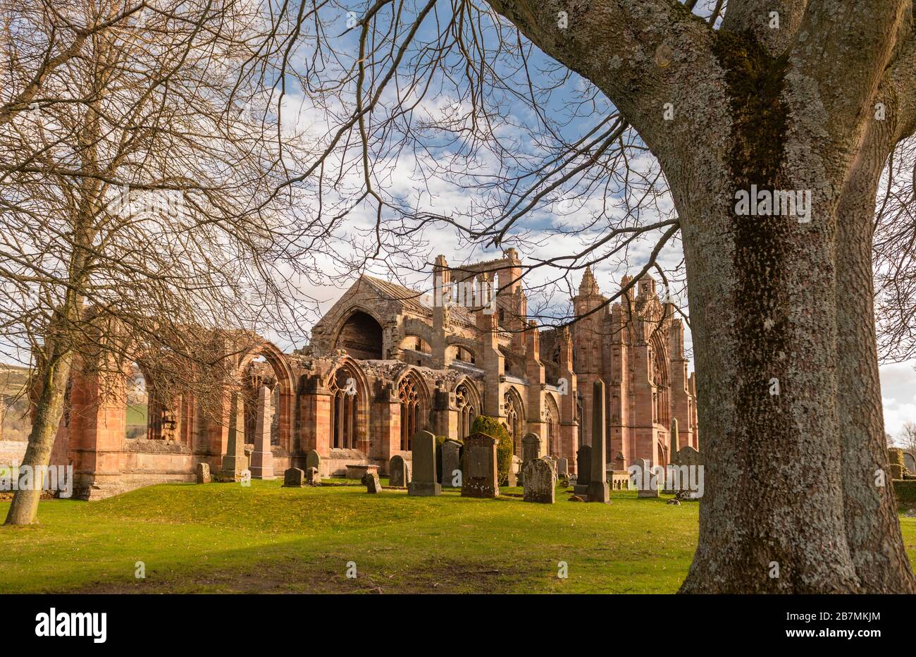 Robert the bruce heart hi-res stock photography and images - Alamy