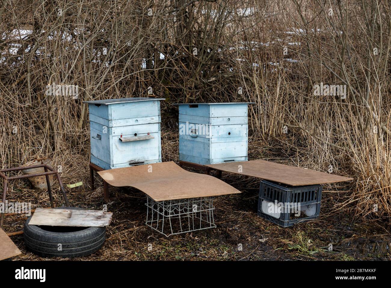 Blue Beehives High Resolution Stock Photography and Images - Alamy
