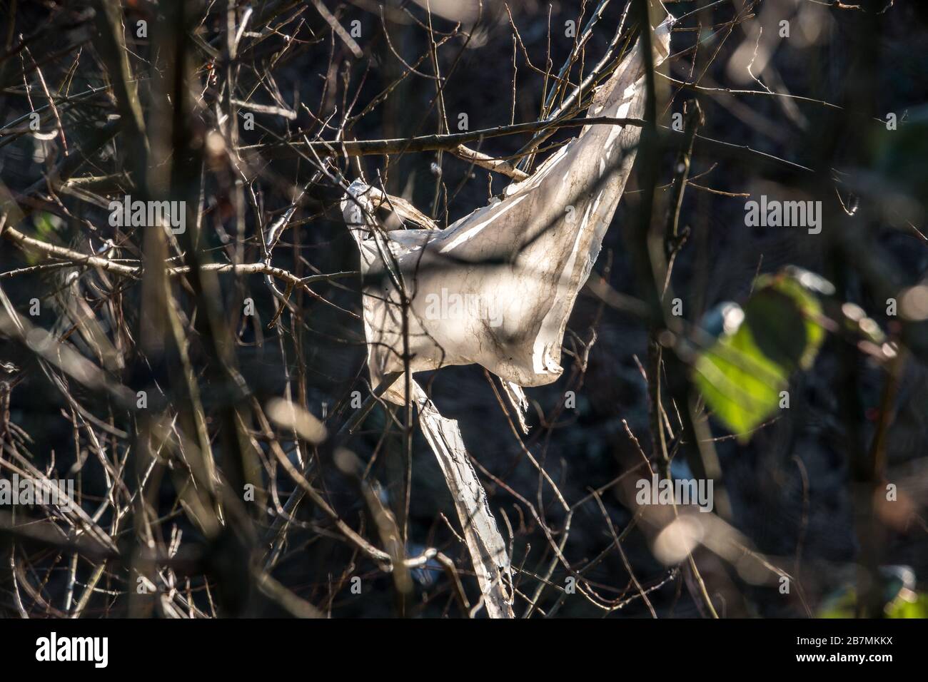 Plastic waste thrown away in the middle of nature Stock Photo - Alamy