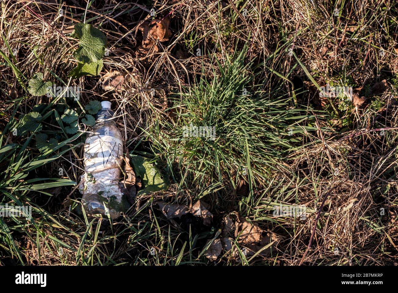 Disposal of plastic waste hi-res stock photography and images - Alamy