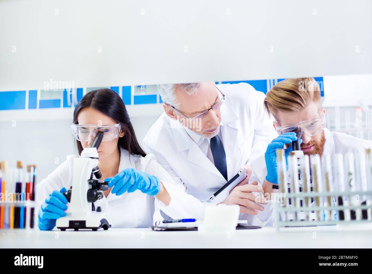 Teamwork concept. Professor is checking and controlling the group work ...