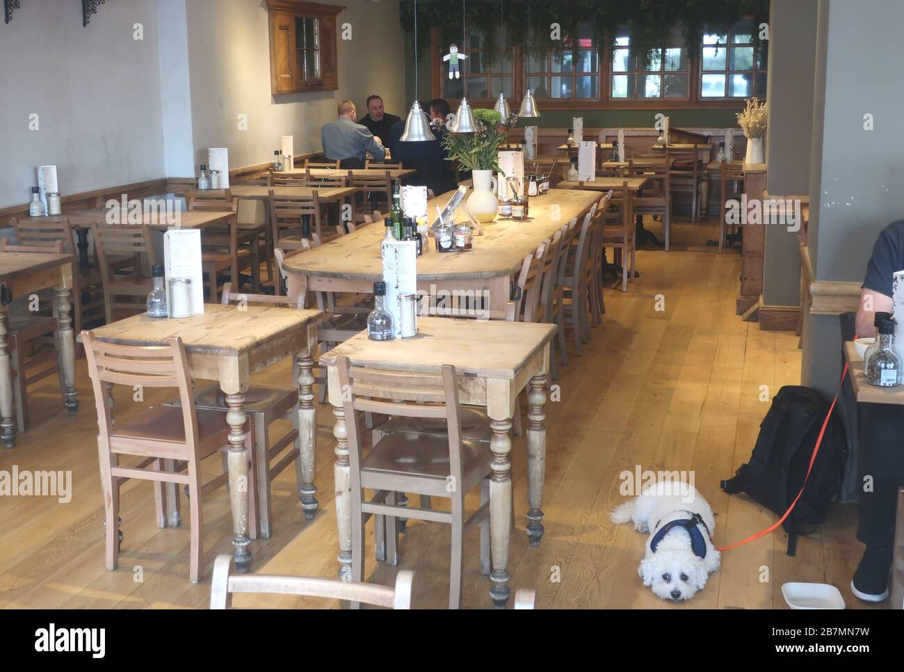 Empty of customers hi-res stock photography and images - Alamy