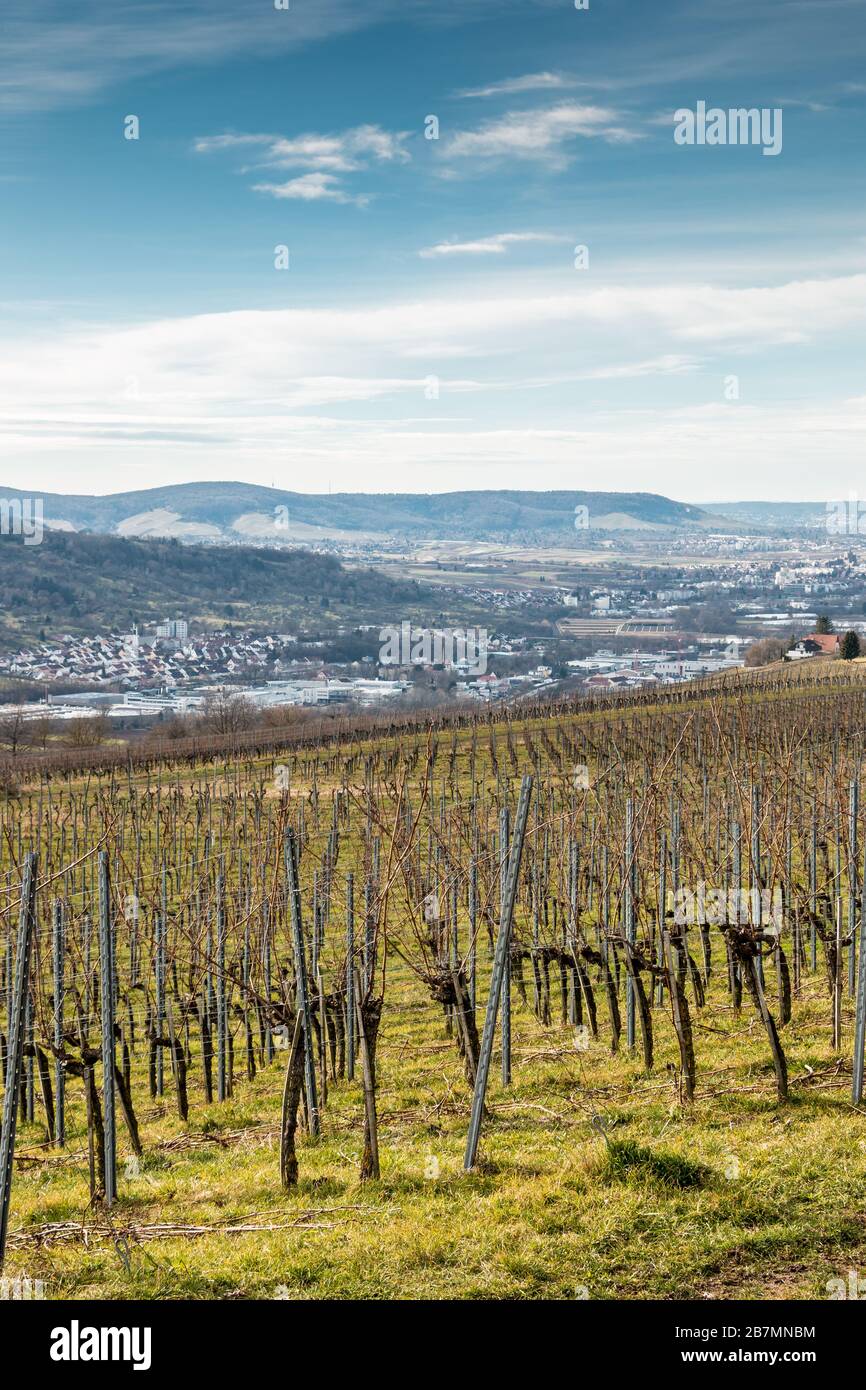 Vineyard areas hi-res stock photography and images - Alamy