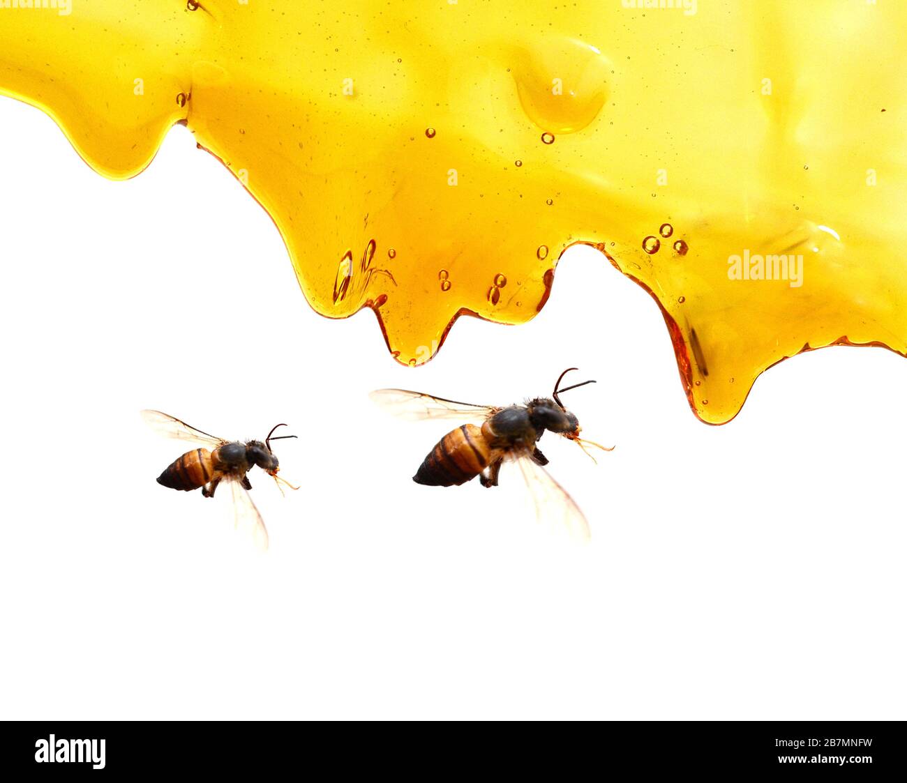 Bee honey abstract vector art hi-res stock photography and images - Alamy