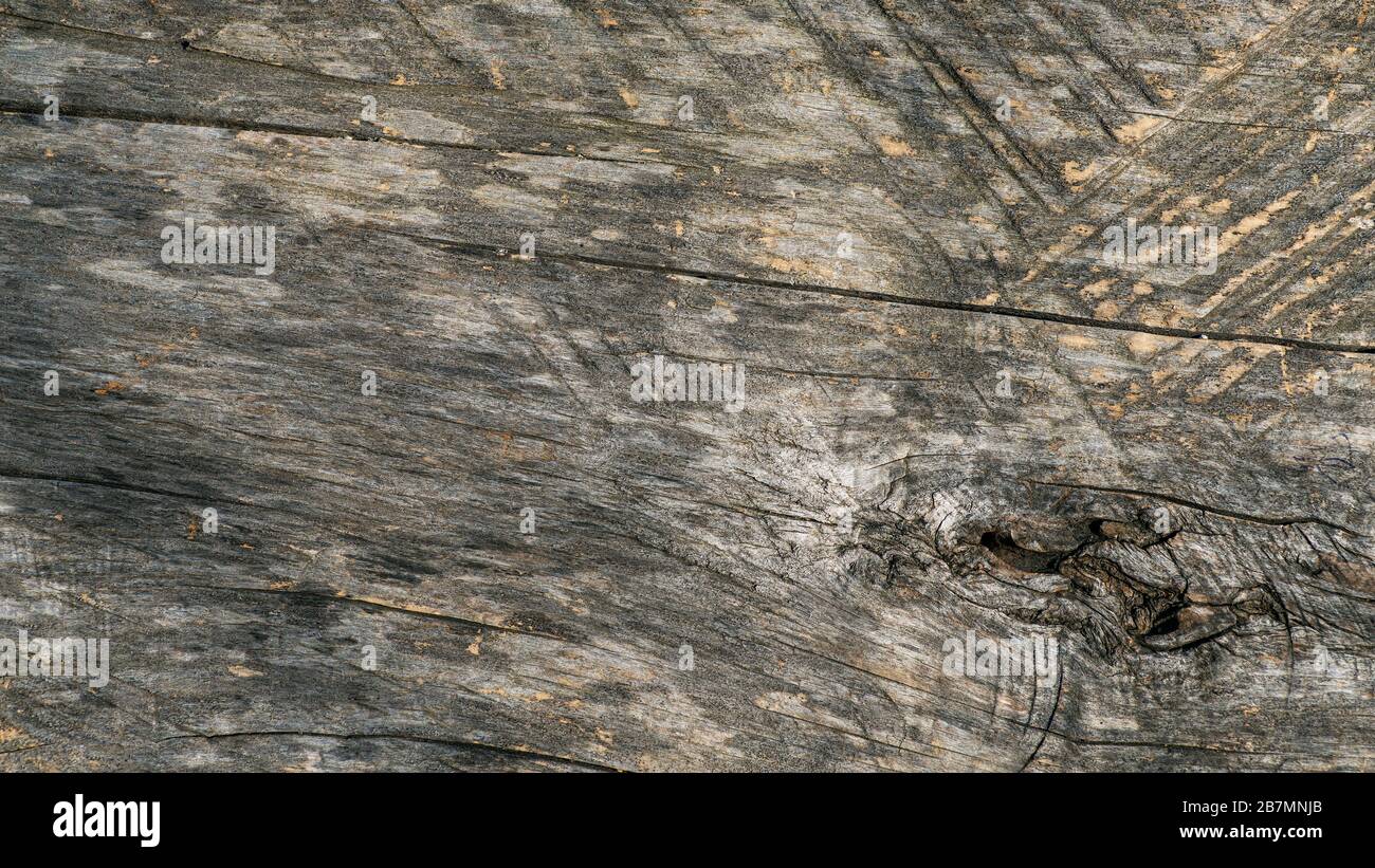 Wooden plank. Natural texture for background Stock Photo - Alamy