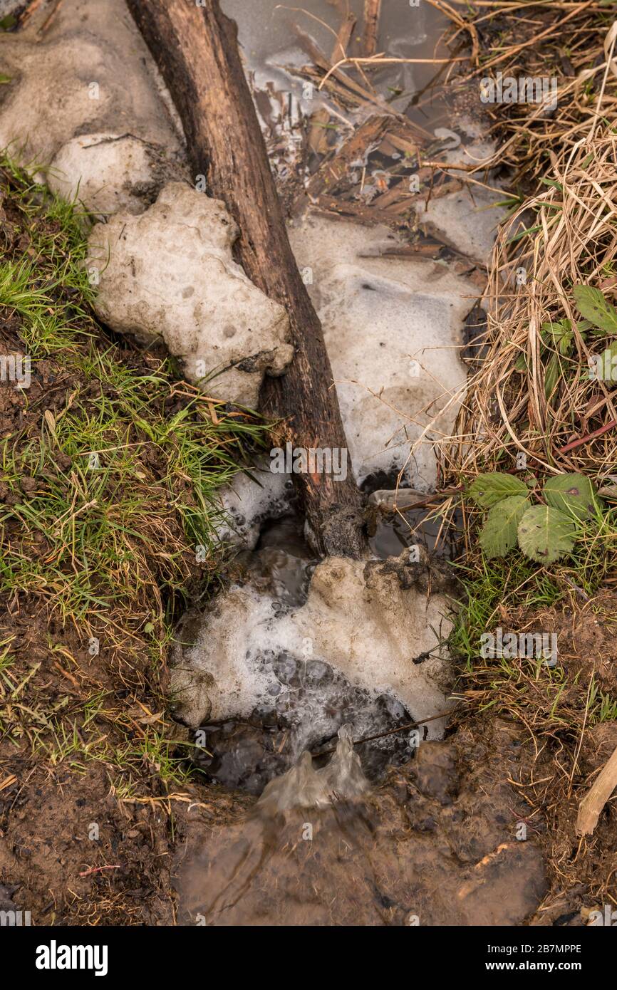 Little spring with flowing and foamy water along the ground Stock Photo ...