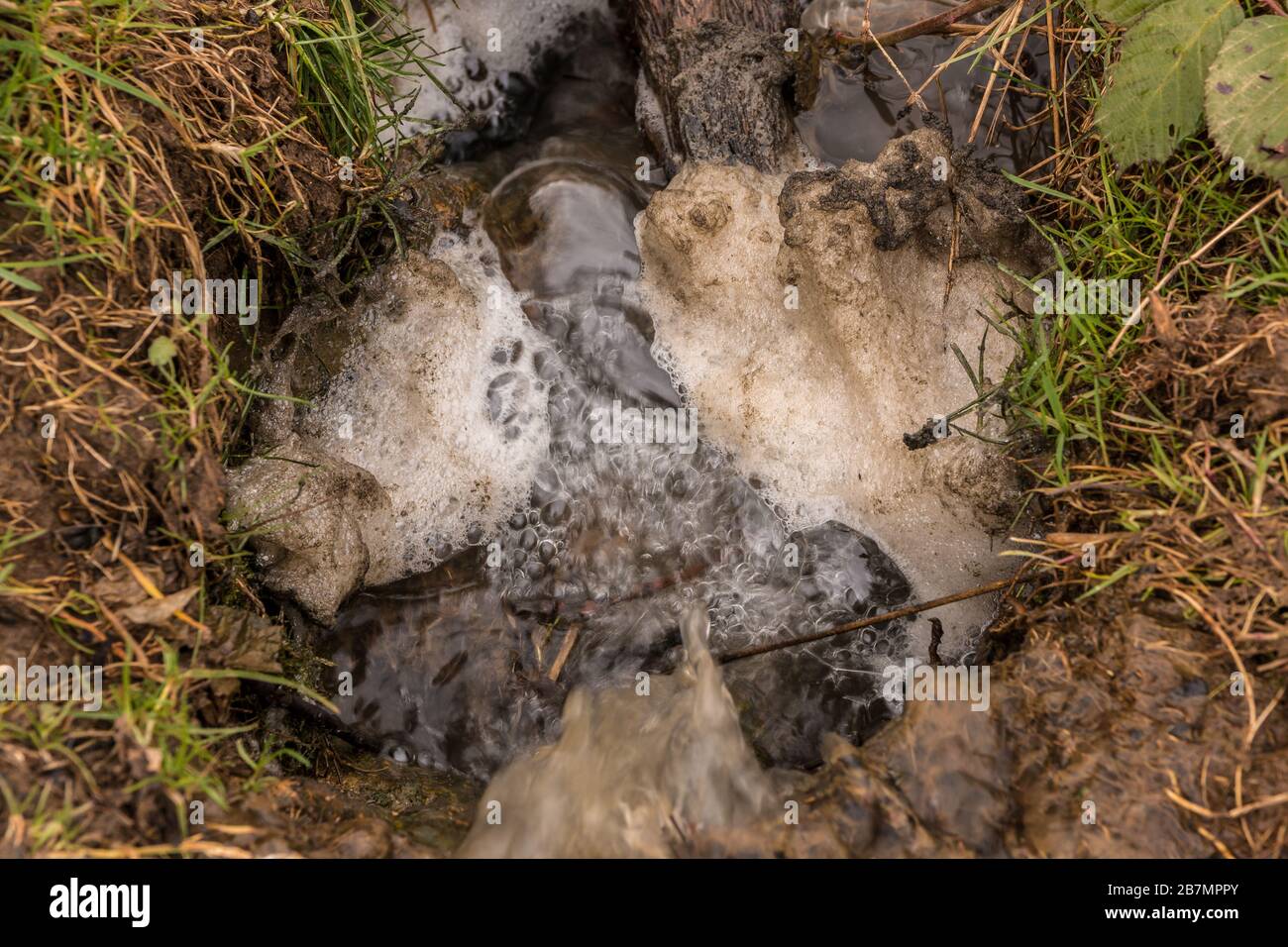 Little spring with flowing and foamy water along the ground Stock Photo ...