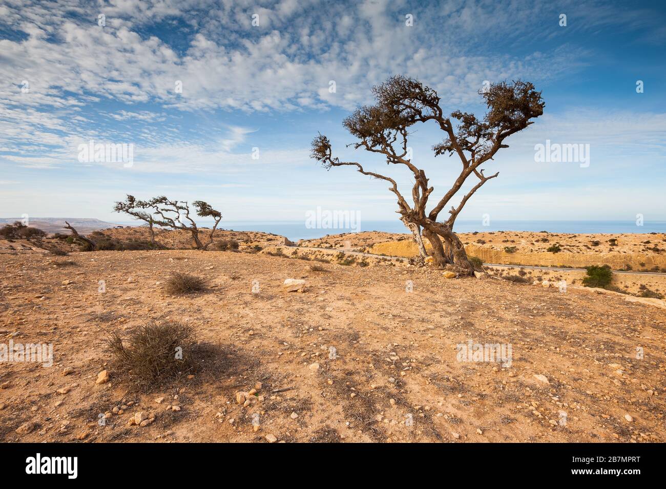 With atlantic ocean in background hi-res stock photography and images ...