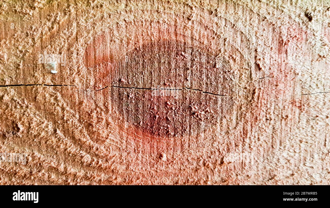 Light soft wood surface as background, wood texture. Close Up of a ...