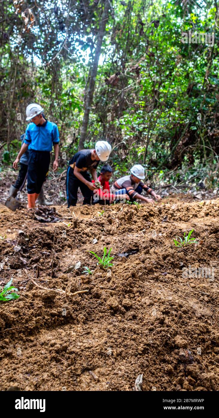 Prevent Soil Erosion High Resolution Stock Photography and Images - Alamy