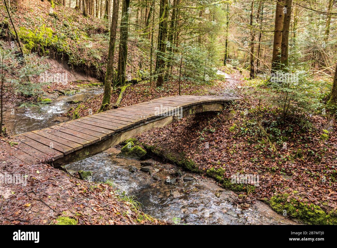 Little bridge across the creek down the canyon in the middle of the ...