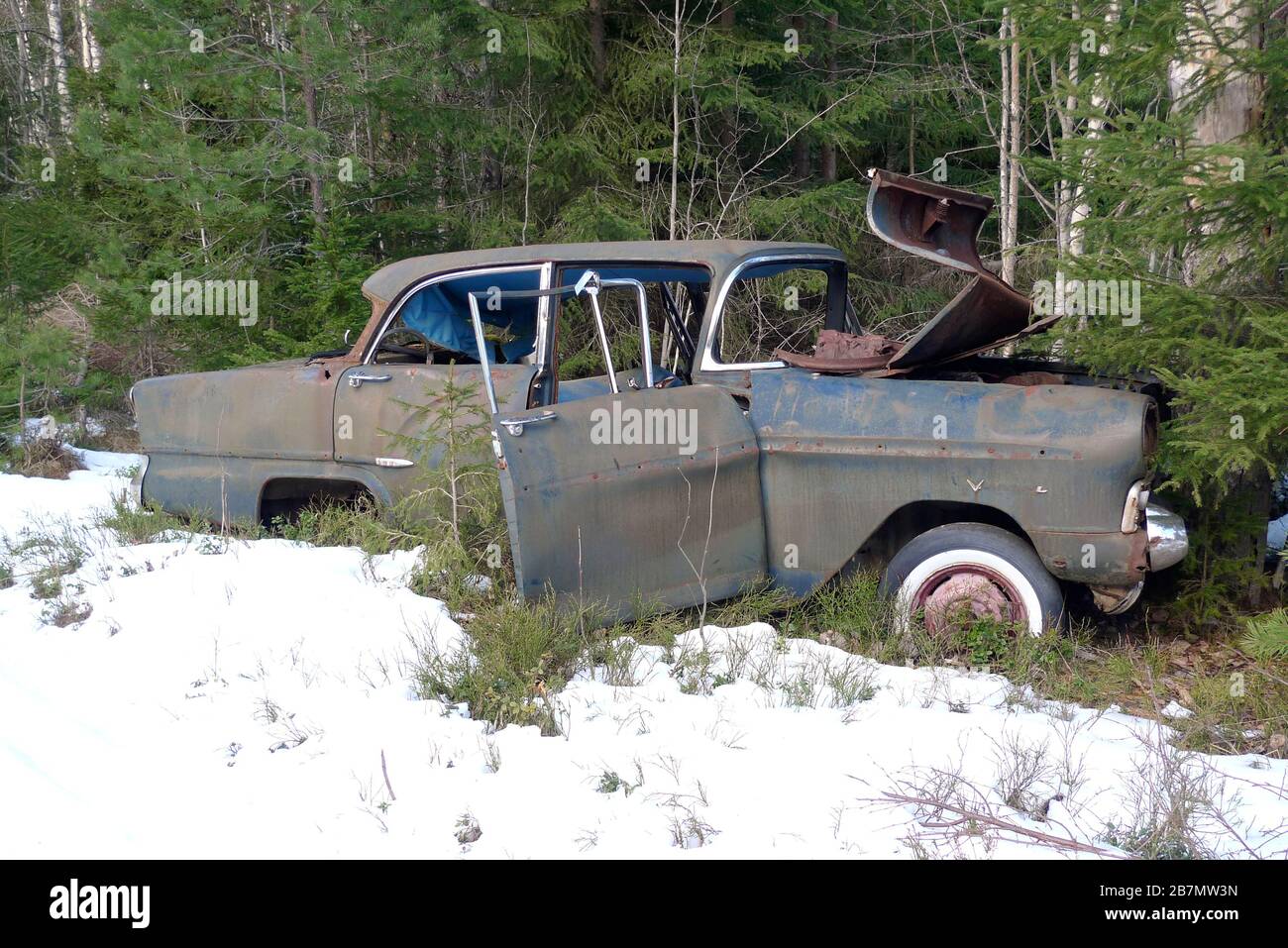 Car wreck in forest Stock Photo - Alamy