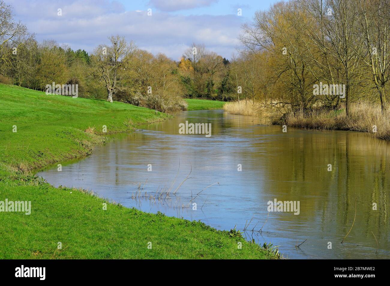 The River Great Ouse between Pavenham and Stevington Stock Photo - Alamy