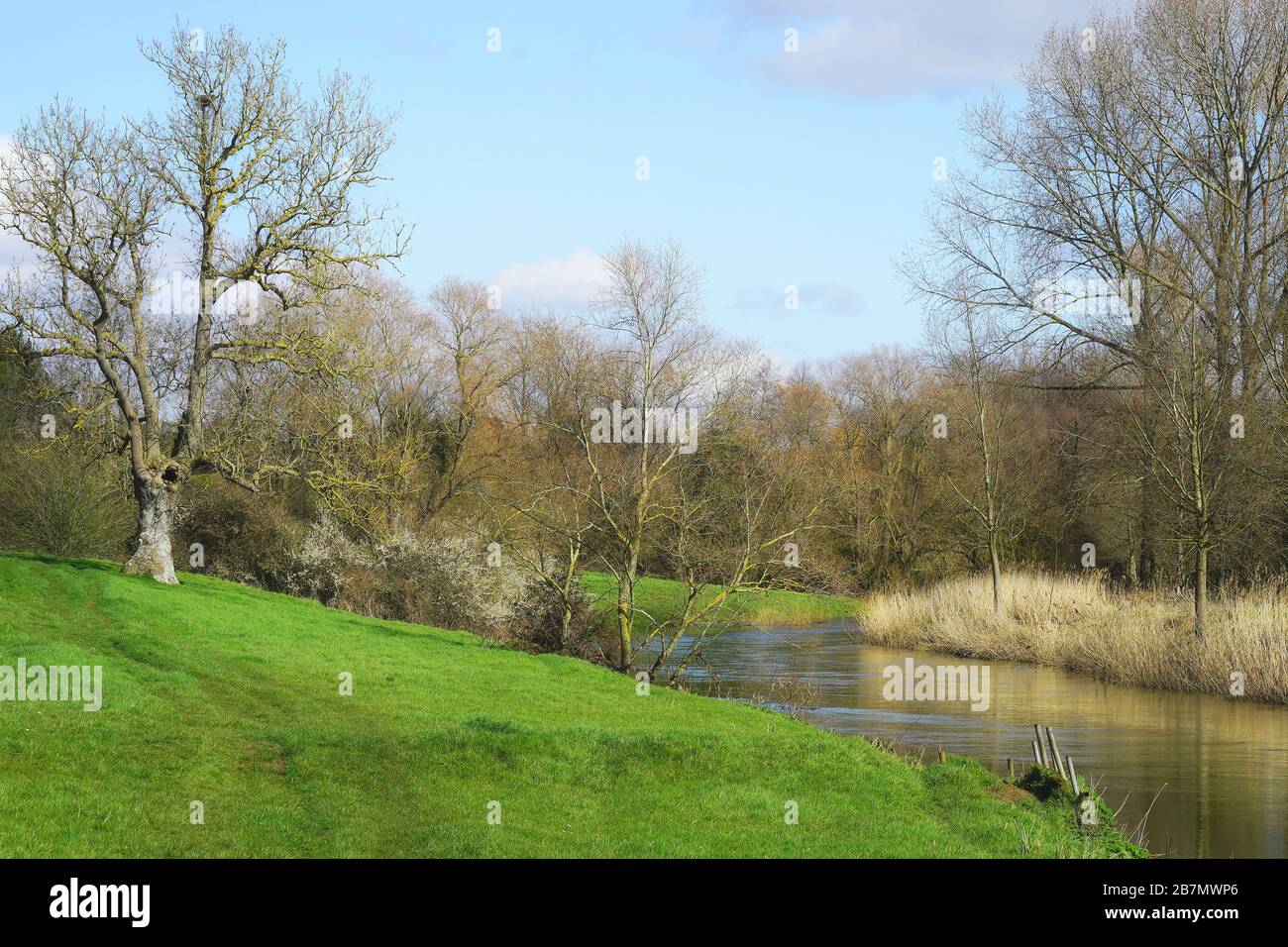The River Great Ouse between Pavenham and Stevington Stock Photo - Alamy